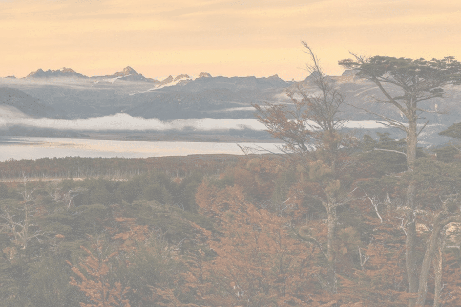 Lago Fagnano: guía esencial para conocer el secreto mejor guardado de ...